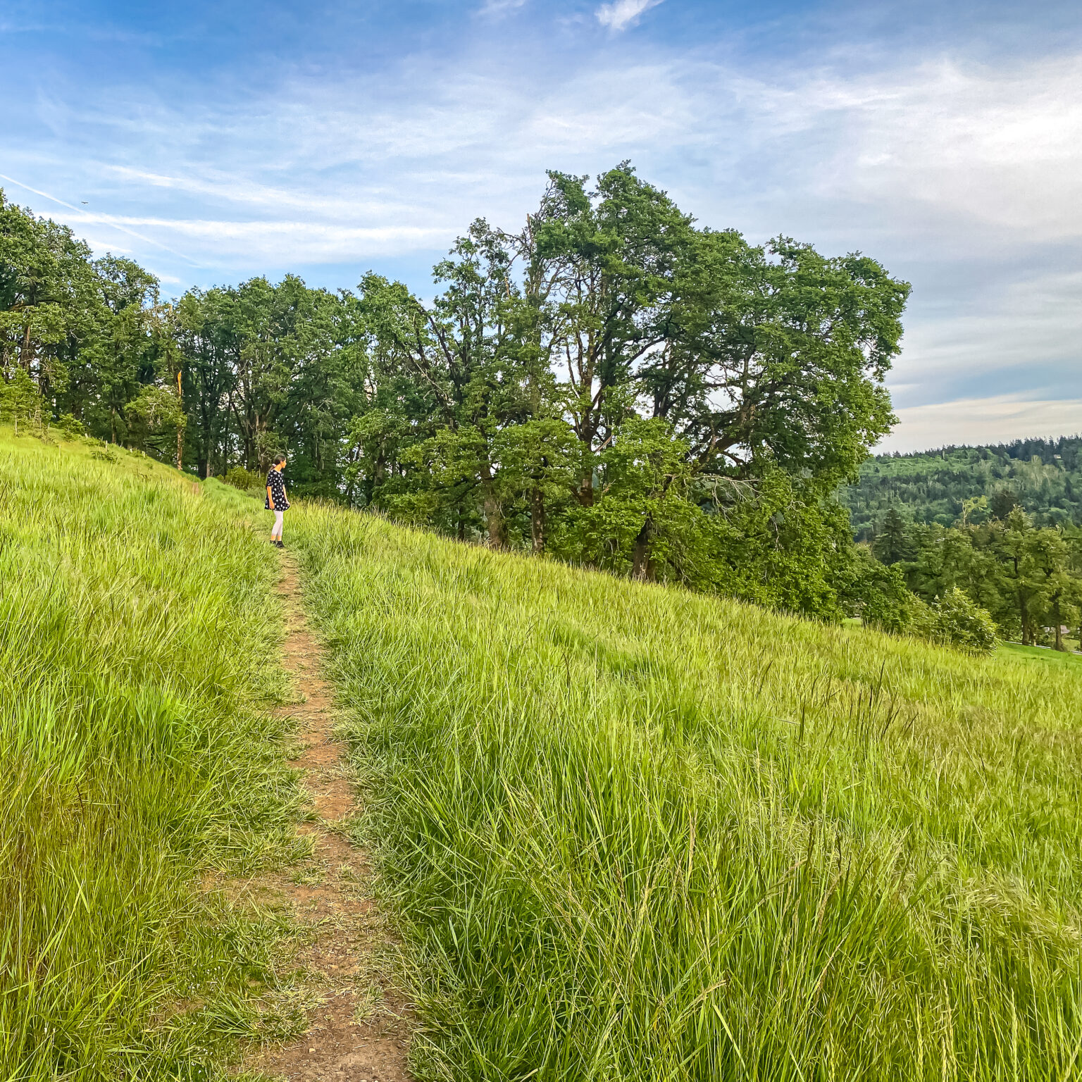 Walking West Linn: Parker Crest, Tanner Basin, Historic Willamette ...