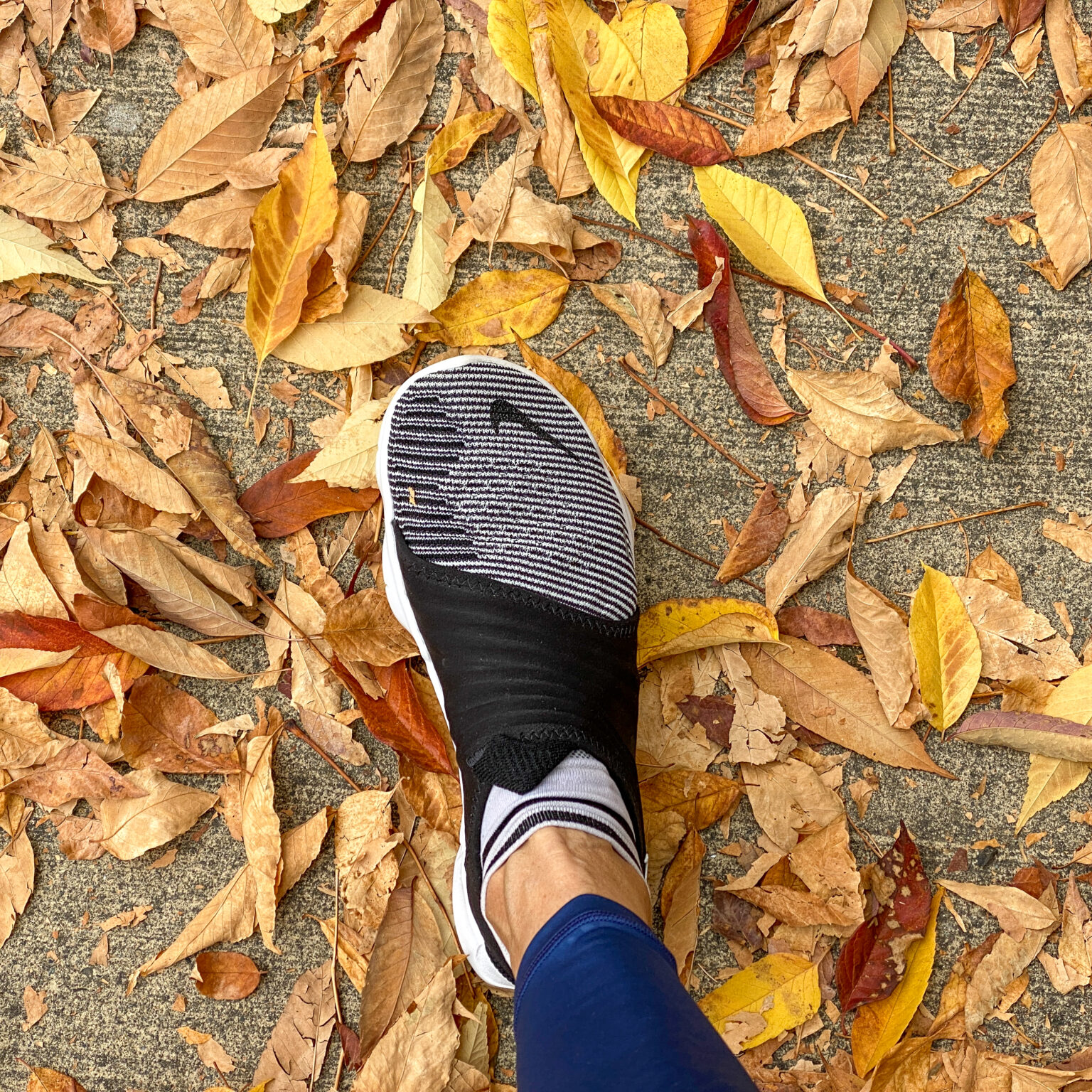 Walking Lake Oswego, Oregon: Our 10 Most Popular Route Maps - PDX Women ...