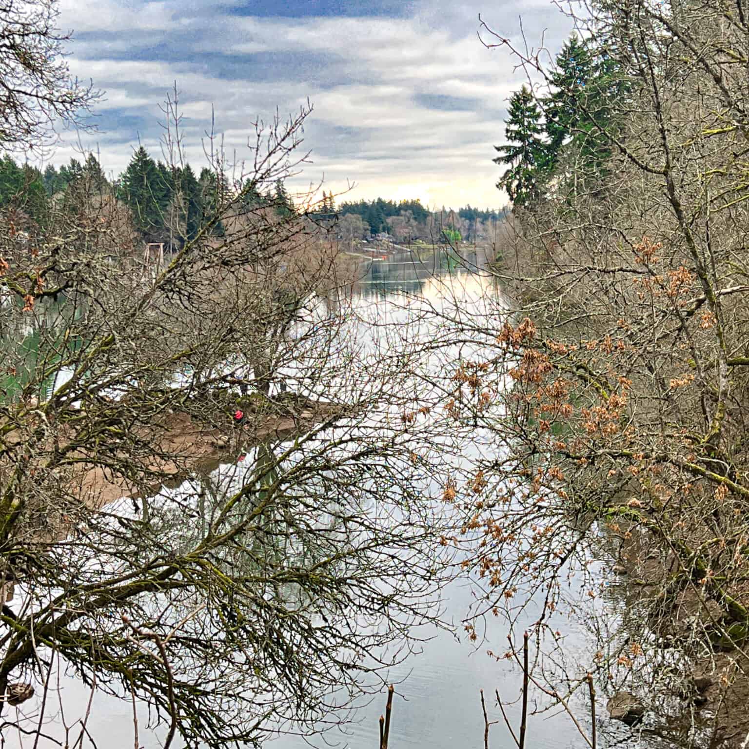 Walking Lake Oswego: George Rodgers Park, Old River Road, Mary's Woods ...