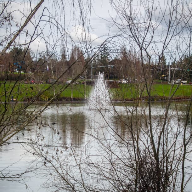 Walking Beaverton | Progress Ridge, Regional Trail, Murray Lake ...