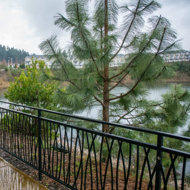 Walking Beaverton | Progress Ridge, Regional Trail, Murray Lake ...