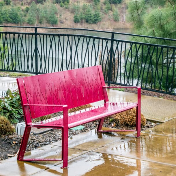 Walking Beaverton | Progress Ridge, Regional Trail, Murray Lake ...